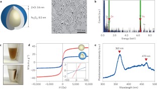 A multifunctional core–shell nanoparticle for dendritic cell-based ...