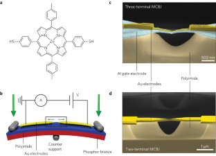 Large tunable image-charge effects in single-molecule junctions ...