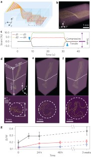 Syringe-injectable electronics | Nature Nanotechnology