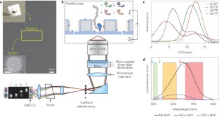 Length-independent DNA packing into nanopore zero-mode waveguides for ...