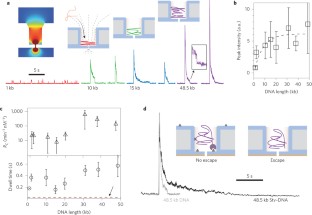 Length-independent DNA packing into nanopore zero-mode waveguides for ...