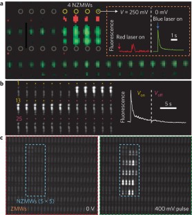Length-independent DNA packing into nanopore zero-mode waveguides for ...