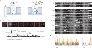 Length-independent DNA packing into nanopore zero-mode waveguides for ...