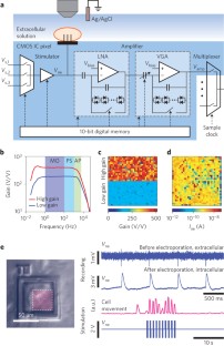 CMOS nanoelectrode array for all-electrical intracellular ...