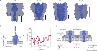 Building membrane nanopores | Nature Nanotechnology