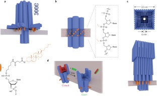 Building membrane nanopores | Nature Nanotechnology