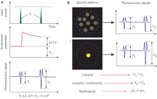 Photoacoustically guided wavefront shaping for enhanced optical ...