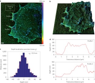 Direct optical nanoscopy with axially localized detection | Nature ...