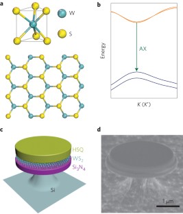 Monolayer excitonic laser | Nature Photonics