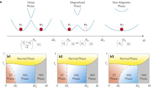 Experimental determination of the finite-temperature phase diagram of a ...