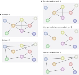 Percolation in real interdependent networks | Nature Physics