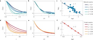 Dynamic scaling in natural swarms | Nature Physics