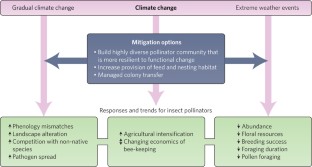 Climate change impacts on pollination | Nature Plants
