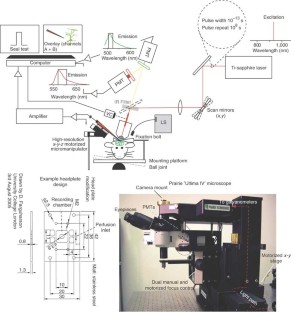 Two-photon targeted patching (TPTP) in vivo | Nature Protocols