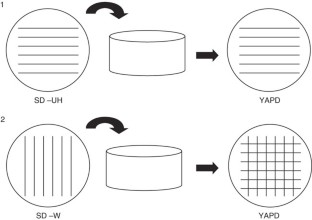 Selection and characterization of large collections of peptide aptamers ...