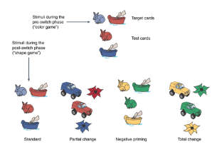 The Dimensional Change Card Sort (DCCS): a method of assessing ...