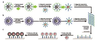 The bio-barcode assay for the detection of protein and nucleic acid ...