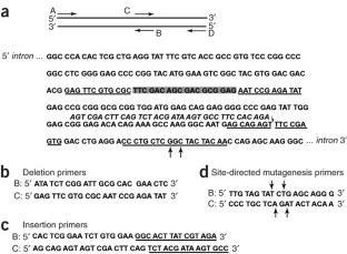 Gene splicing and mutagenesis by PCR-driven overlap extension | Nature ...
