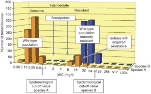 Agar and broth dilution methods to determine the minimal inhibitory ...