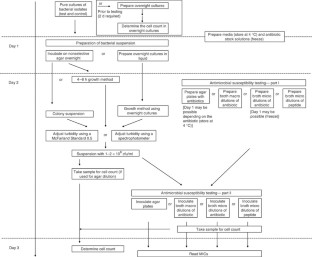 Agar and broth dilution methods to determine the minimal inhibitory ...