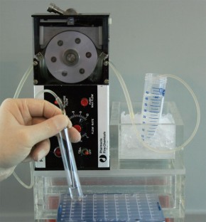 A rapid Percoll gradient procedure for preparation of synaptosomes ...