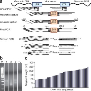 Genome-wide high-throughput integrome analyses by nrLAM-PCR and next-generation sequencing ...