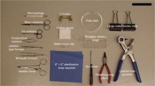 In vivo optical molecular imaging and analysis in mice using dorsal ...