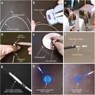 Construction of implantable optical fibers for long-term optogenetic ...