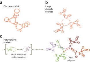 Designing and using RNA scaffolds to assemble proteins in vivo | Nature ...
