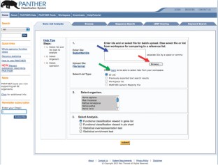 Large-scale gene function analysis with the PANTHER classification ...