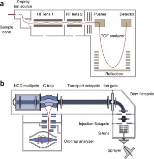 Detailed mass analysis of structural heterogeneity in monoclonal ...