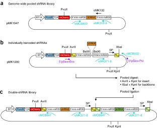 Functional genomics platform for pooled screening and generation of ...