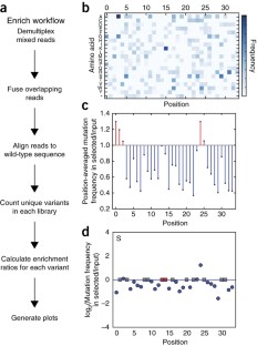 Measuring the activity of protein variants on a large scale using deep ...