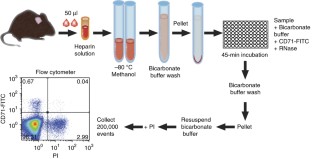 A high-throughput in vivo micronucleus assay for genome instability ...