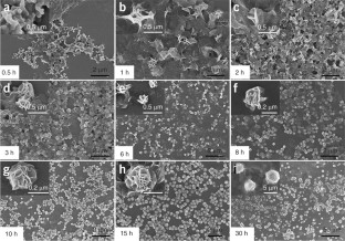 Preparation and biomedical applications of programmable and ...