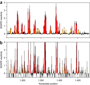Selective 2′-hydroxyl acylation analyzed by primer extension and ...