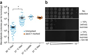Precision-engineering the Pseudomonas aeruginosa genome with two-step ...