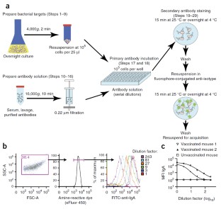 Analysis of bacterial-surface-specific antibodies in body fluids using ...
