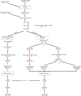 Separation and parallel sequencing of the genomes and transcriptomes of single cells using G&T ...