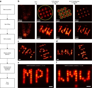 Super-resolution microscopy with DNA-PAINT | Nature Protocols