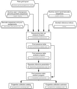 Rapid curation of gene disruption collections using Knockout Sudoku | Nature Protocols