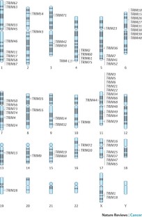 TRIM proteins and cancer | Nature Reviews Cancer