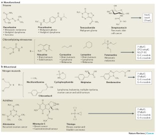 Balancing repair and tolerance of DNA damage caused by alkylating ...