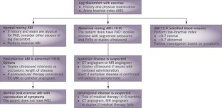Peripheral artery disease. Part 1: clinical evaluation and noninvasive ...
