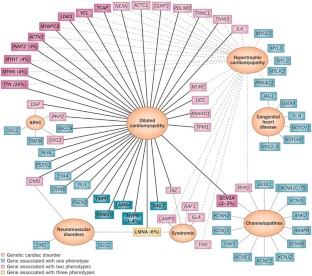 Dilated cardiomyopathy: the complexity of a diverse genetic ...