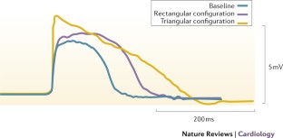 Drug-induced proarrhythmia: risk factors and electrophysiological ...