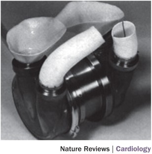 Total artificial hearts: past, present, and future | Nature Reviews ...