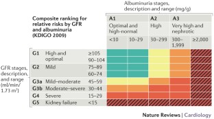 Global cardiovascular protection in chronic kidney disease | Nature ...