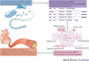 Expanding the spectrum of CVD genetics | Nature Reviews Cardiology