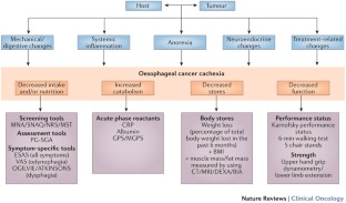 Cachexia in patients with oesophageal cancer | Nature Reviews Clinical ...
